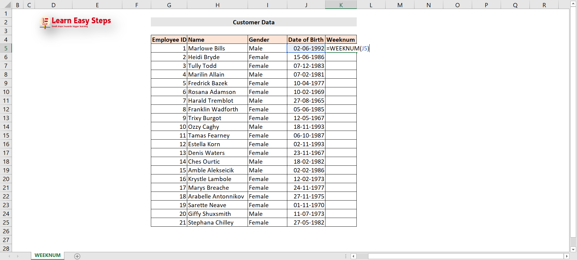 How To Use Weeknum Function In Excel Learn Easy Steps