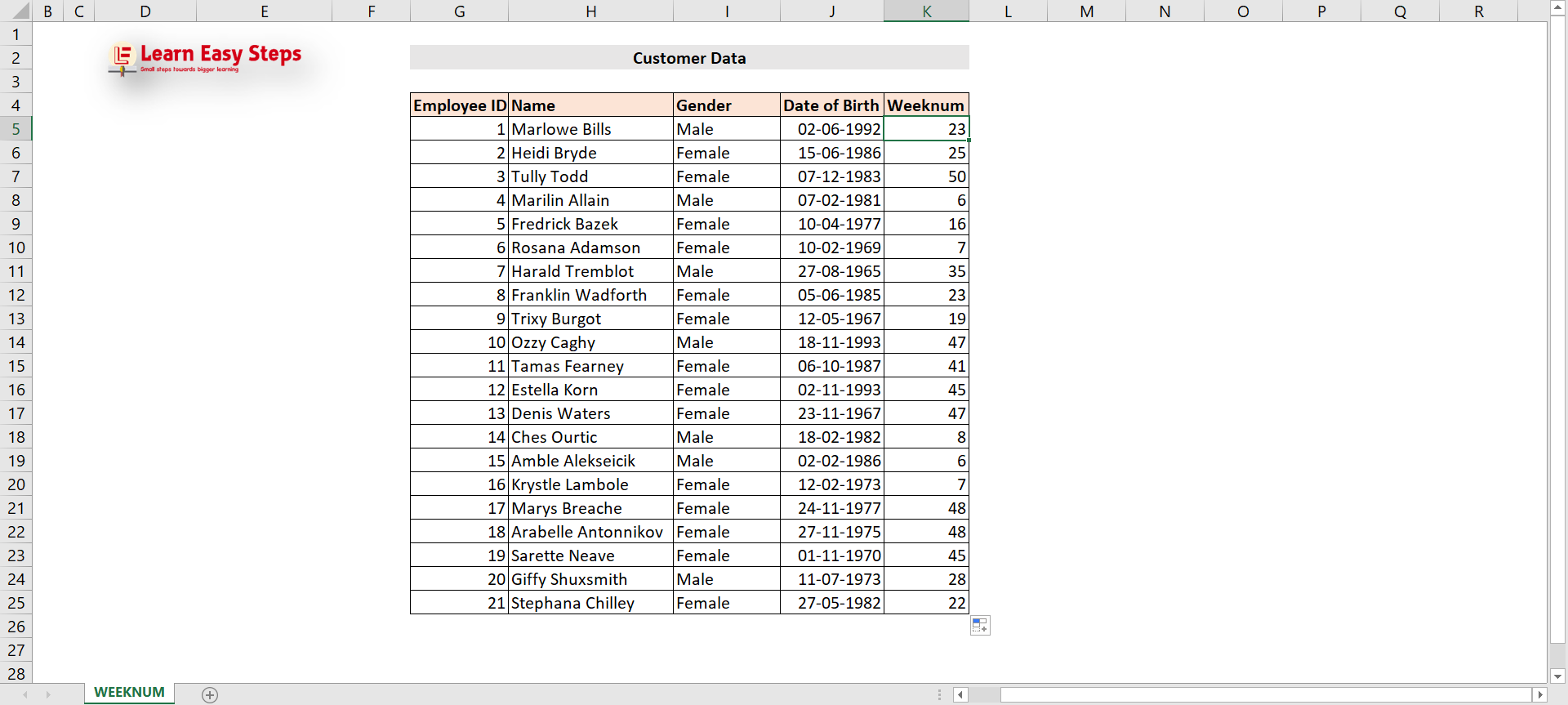 How To Use Weeknum Function In Excel Learn Easy Steps